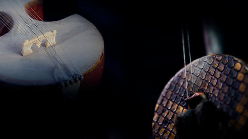 The World Music Bundle | Steinberg