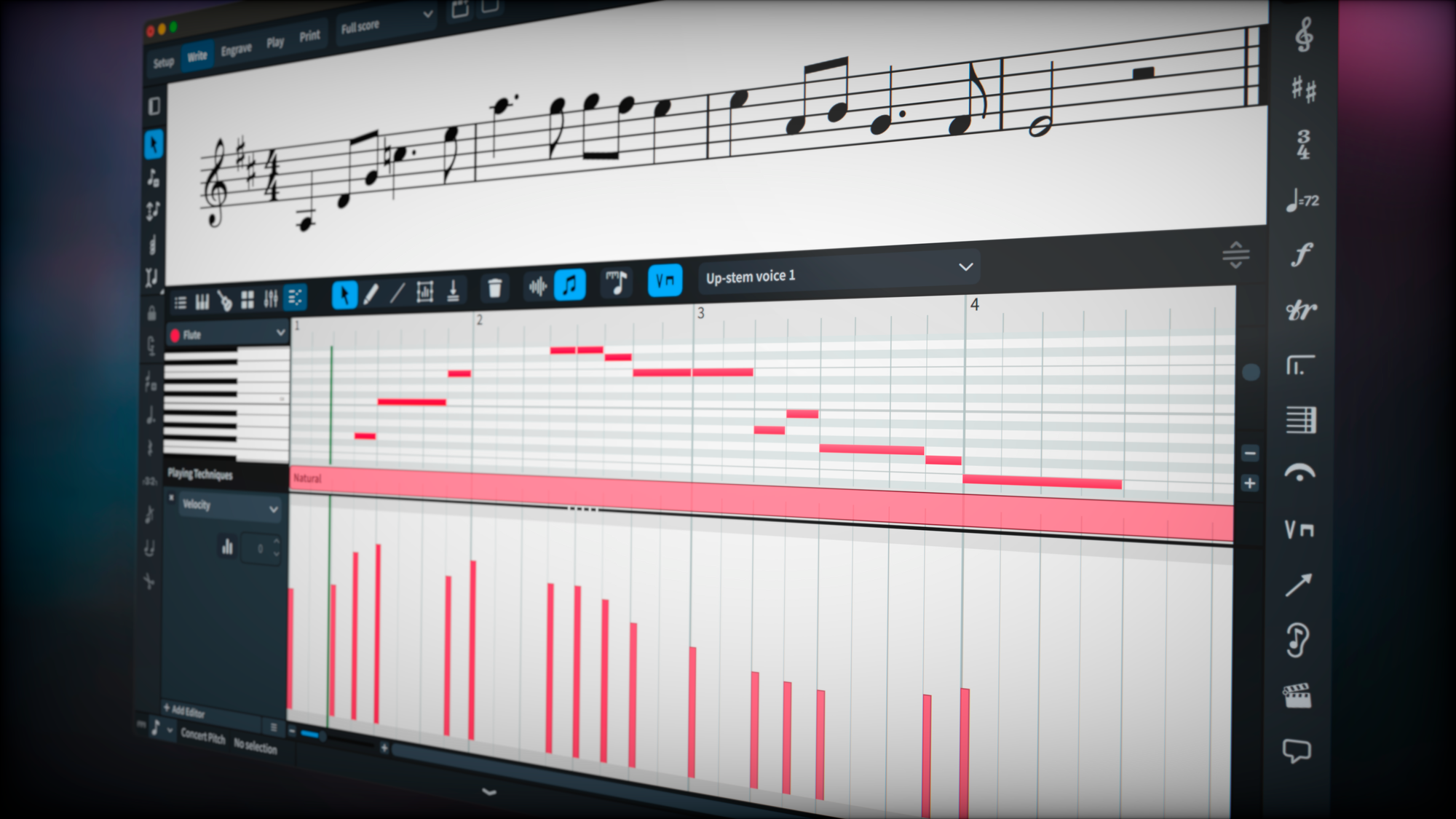 New in Dorico 5 | Steinberg
