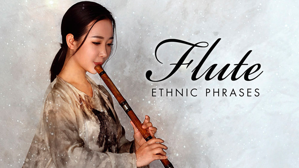 The World Music Bundle | Steinberg